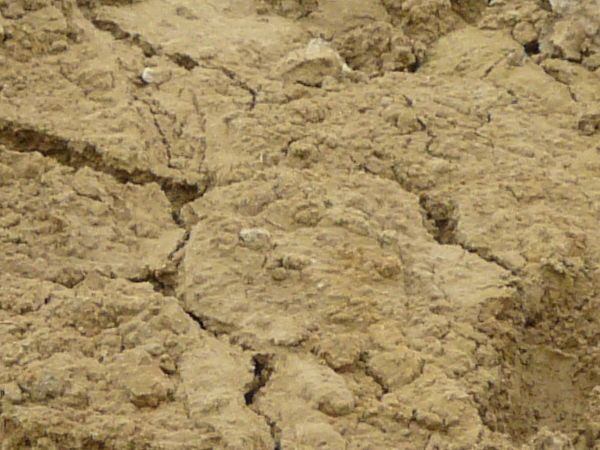 dirt with rocks texture 0025 - Texturelib